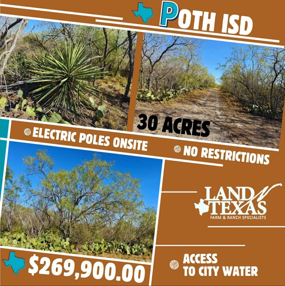 30 Acres in Wilson County | Land N Texas